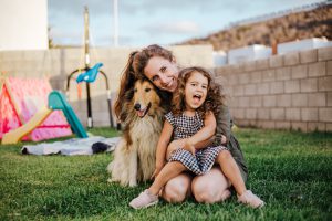 Dutch Dog Training Commands